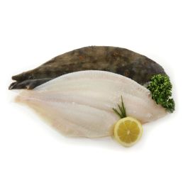 Bells Fishmongers | Plaice Fillet